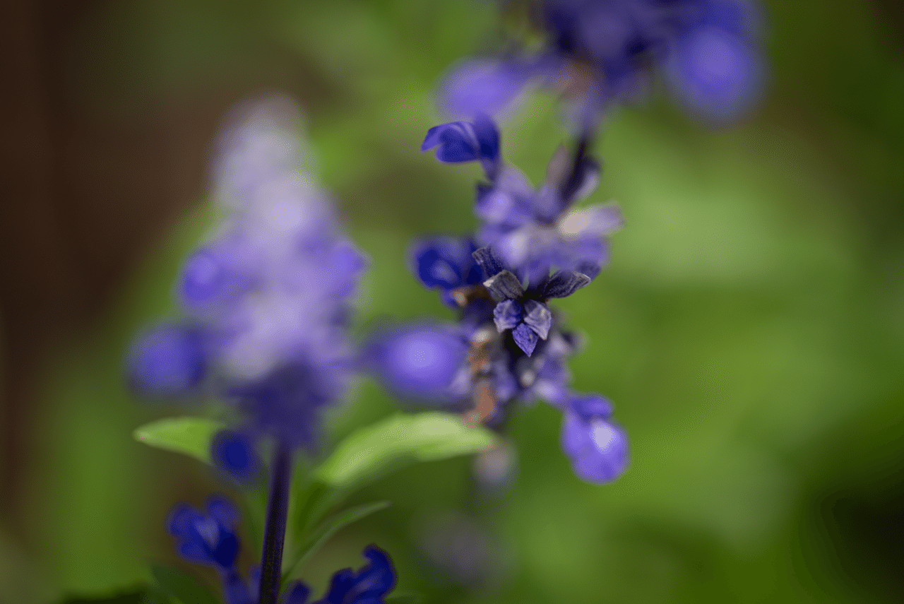 目が覚めて時計を見ればまだ夜更け得した気分切なさ半分 #短歌 #写真｜Shinichi Sendagi