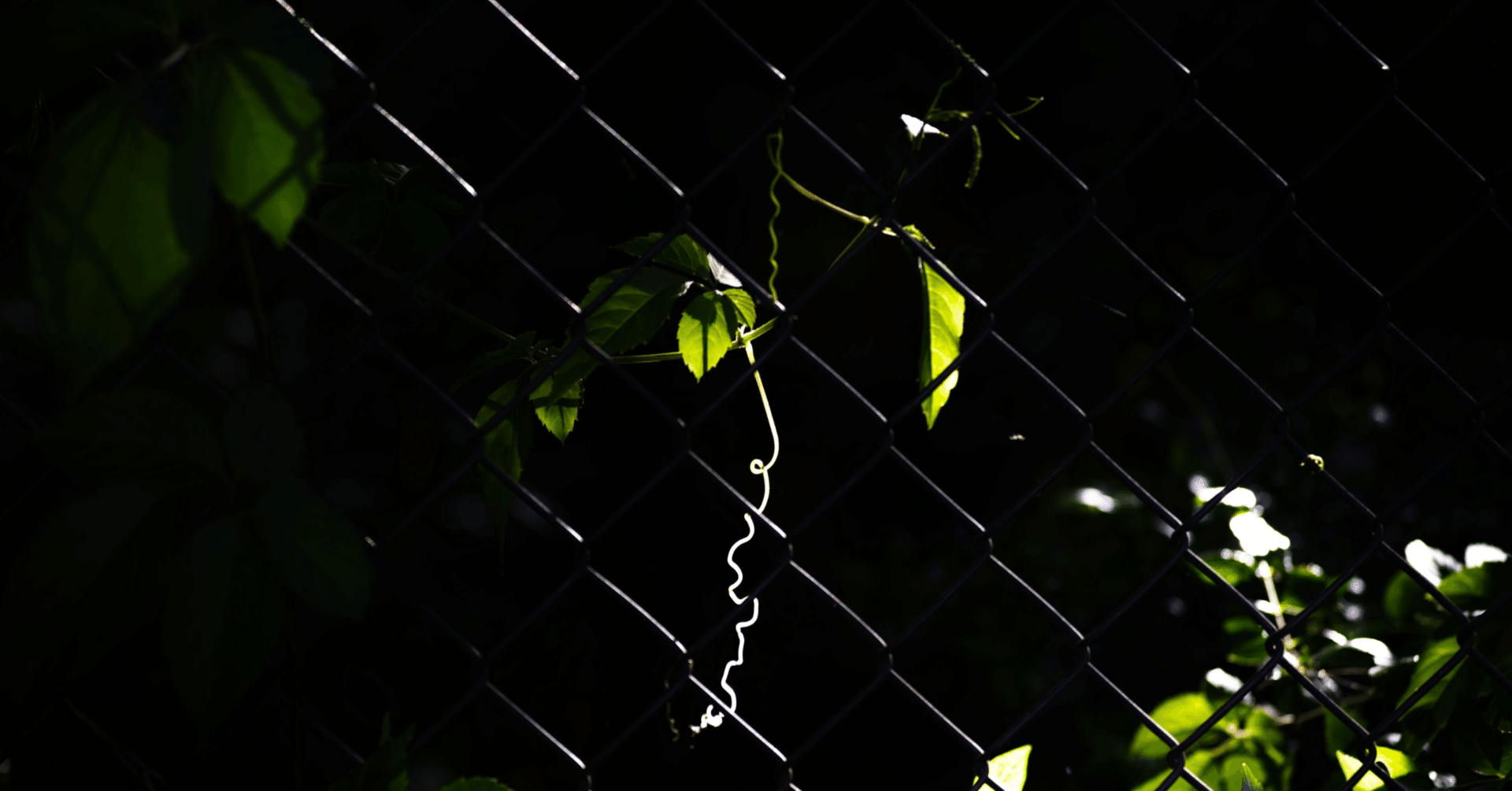 Ryosuke Matsusima｜note