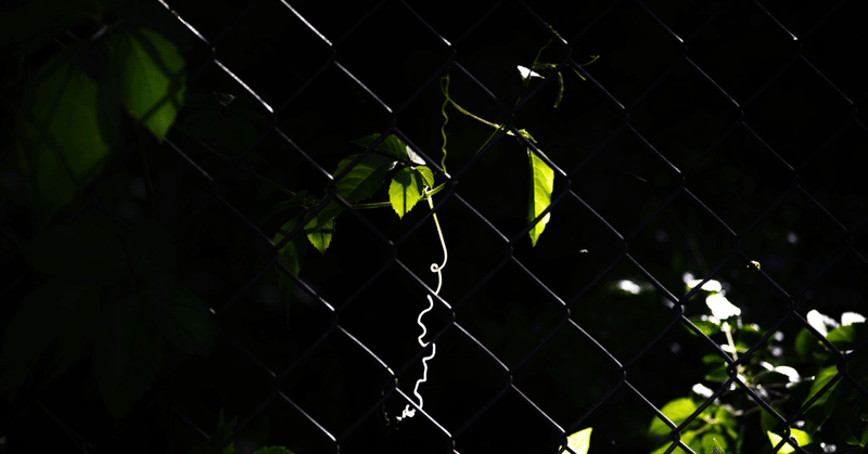 Ryosuke Matsusima｜note