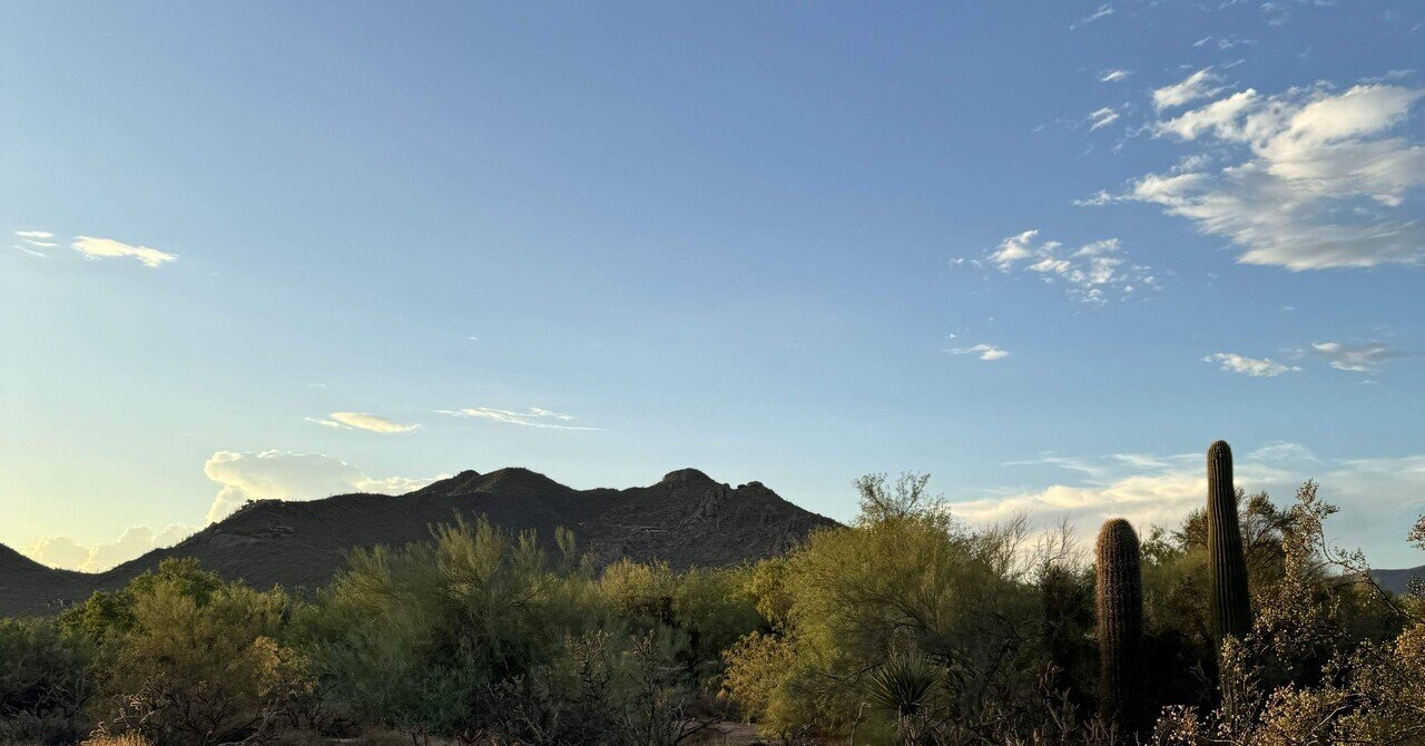 Yuko Anderson ｜note