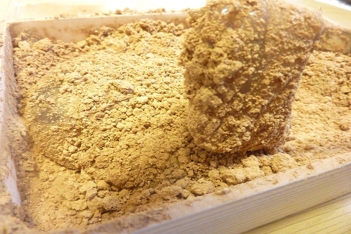 ハーモニックライフスタイル」の人気タグ記事一覧｜note ――つくる、つながる、とどける。