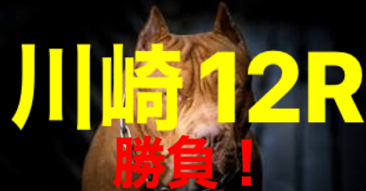 川崎12R勝負！｜パドック師匠【PD master】公式🌐