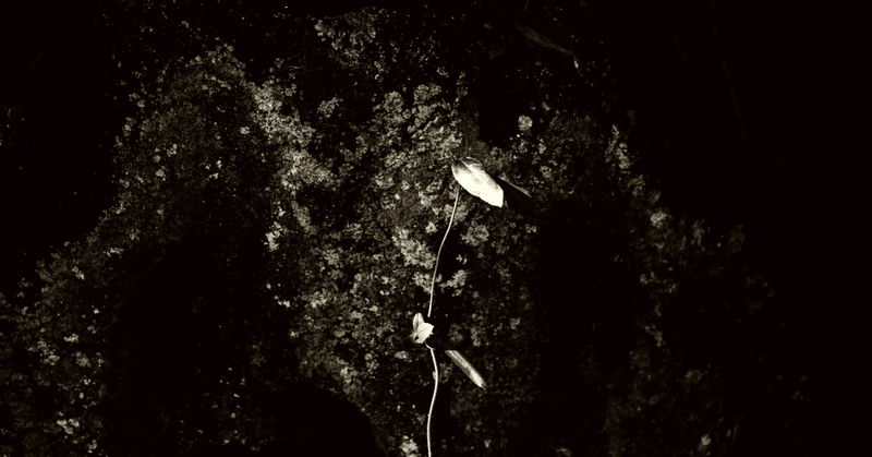 Ryosuke Matsusima｜note