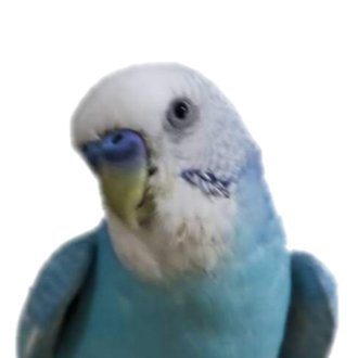 がーと / gaato｜note