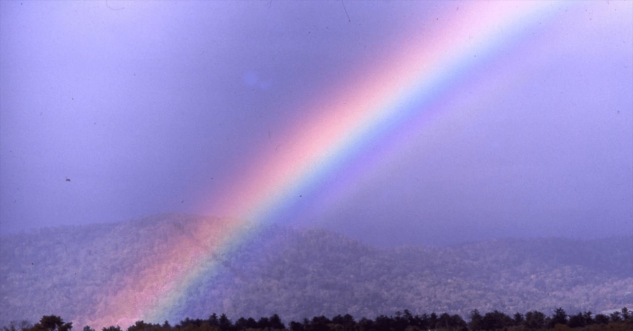 未来のためにできること～持続可能な開発目標（SDGs）への貢献｜はやかわれい😆連続起業家・発達障害のフリーターが丸の内の会社員→渋谷で起業。note146万PV