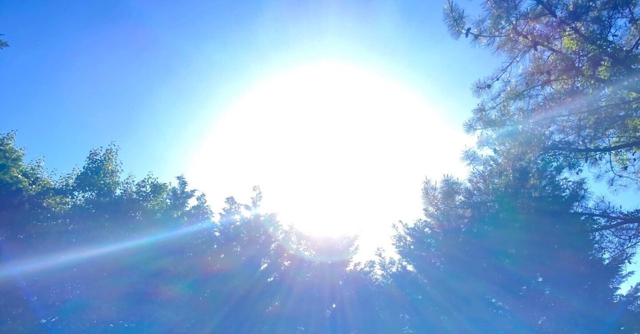 出てくる出てくる沢山の思い込み（笑）｜Atelier yucca（アトリエユッカ）