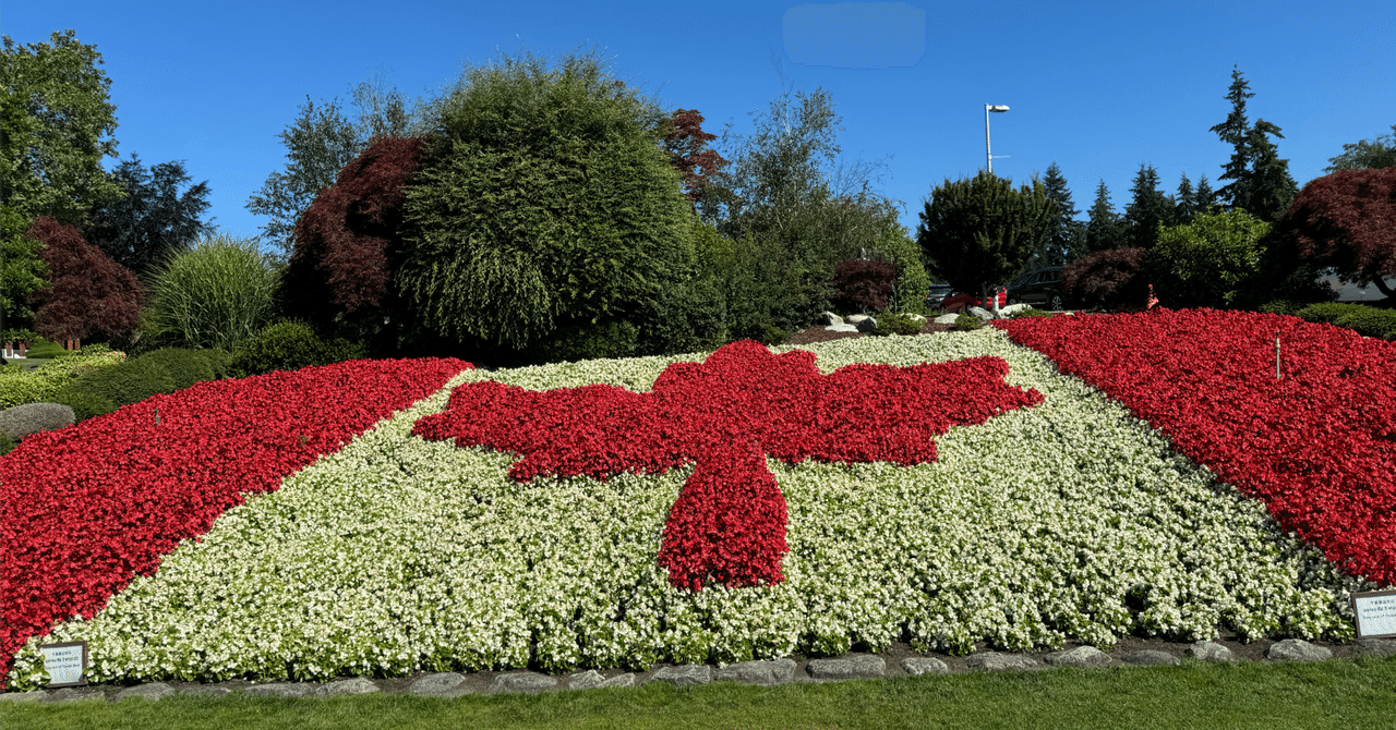 業界未経験でカナダへ渡航しエンジニアにキャリアチェンジするまでの軌跡｜YUTO