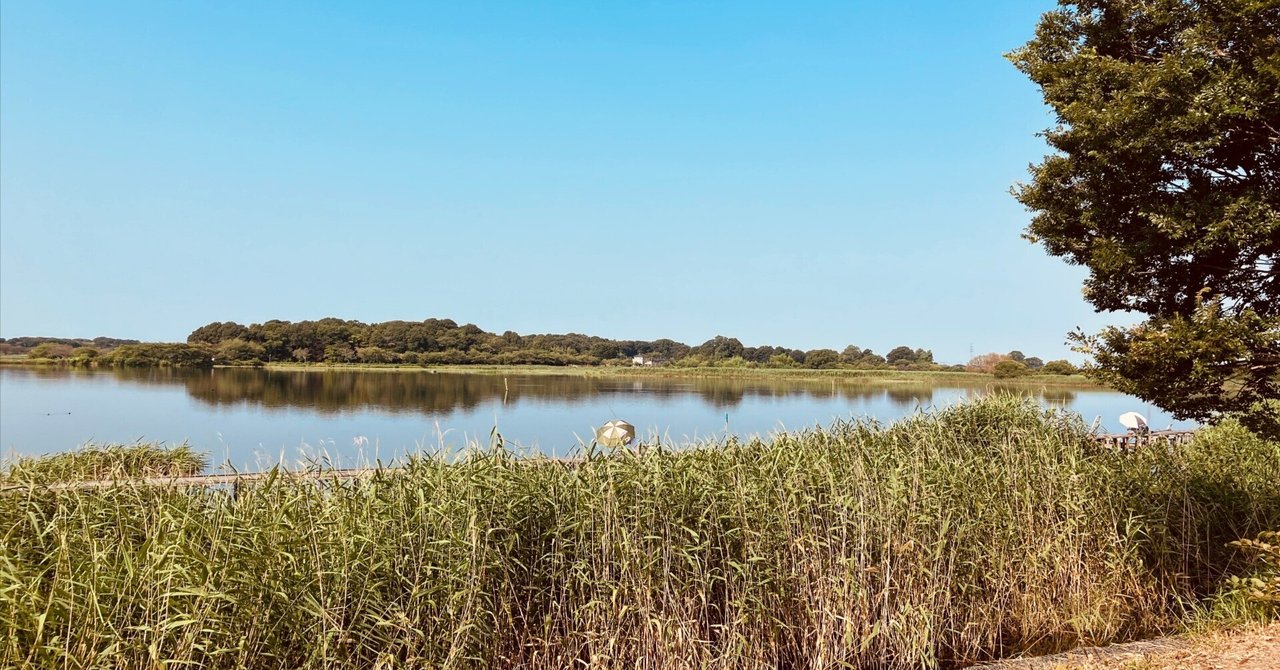 仏の笑顔でCQを叫ぶFDの弱鬼 #20240804｜SUUA-SAN