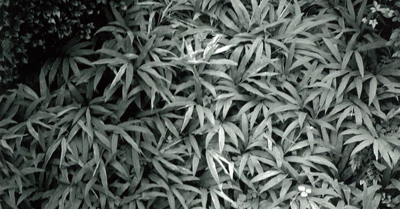 not six｜OHO KANAKO