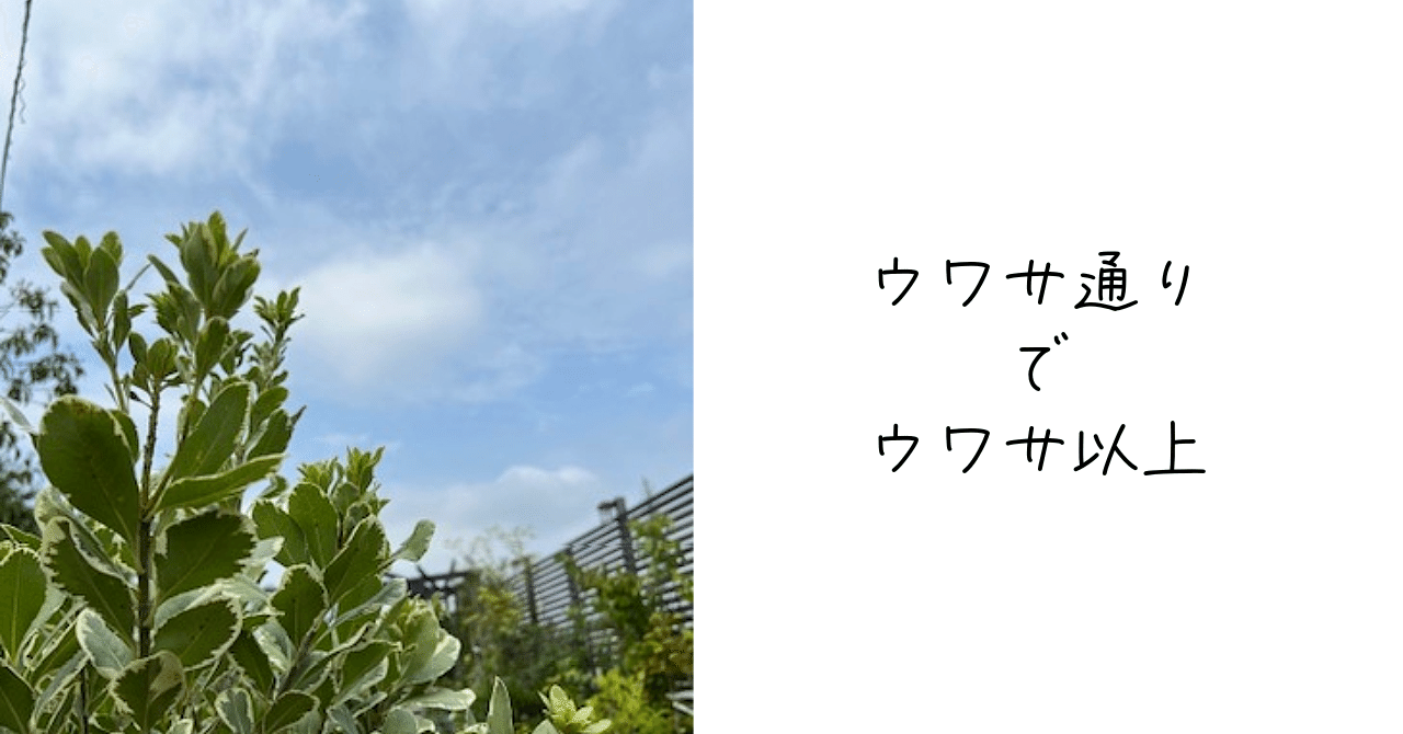 オザキフラワーパークに行ってみた。｜Ms'HIRO