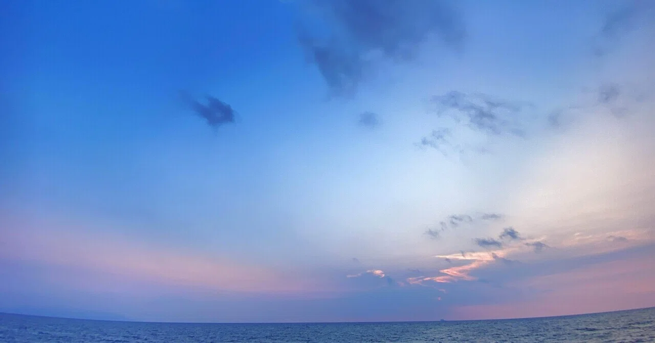 8/7 KIN31 Blue Overtone Monkey銀河の音5｜Maya Astro Alchemy
