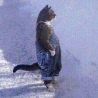 Edwin Benavides｜note