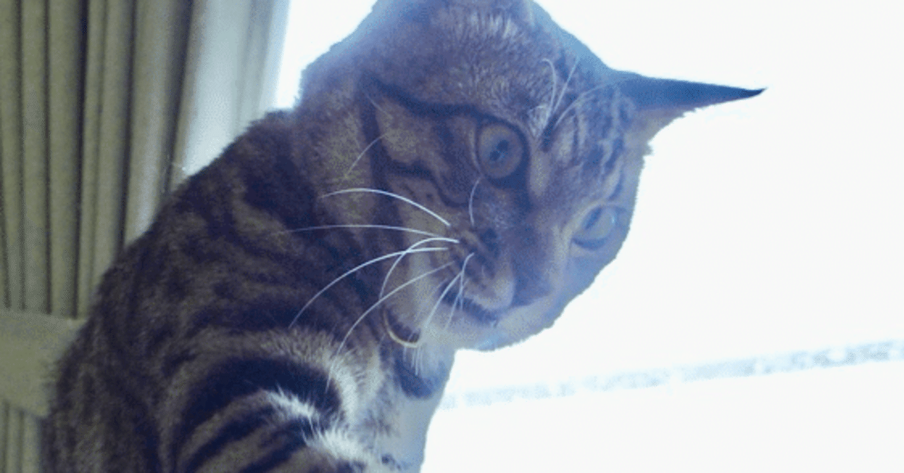 PythonでPDFのテキストを出力してみる003｜はやし