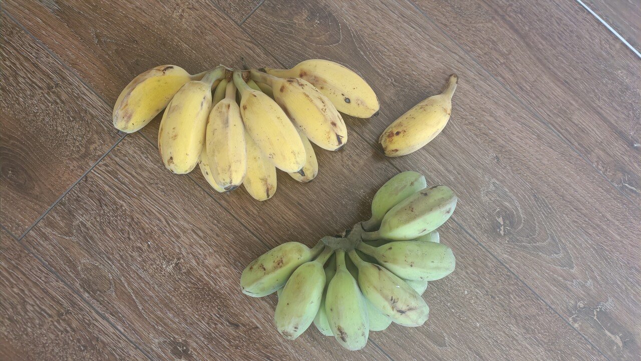 Meguru Ishida｜note