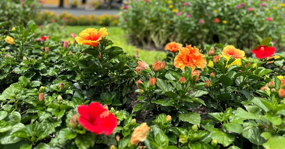 【詩】心残り｜ayano_leizei 冷泉あやの