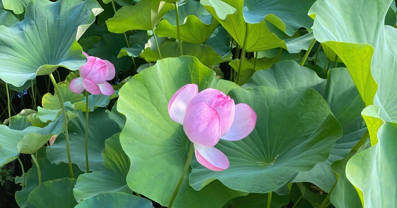 ご挨拶｜Reiko Kim