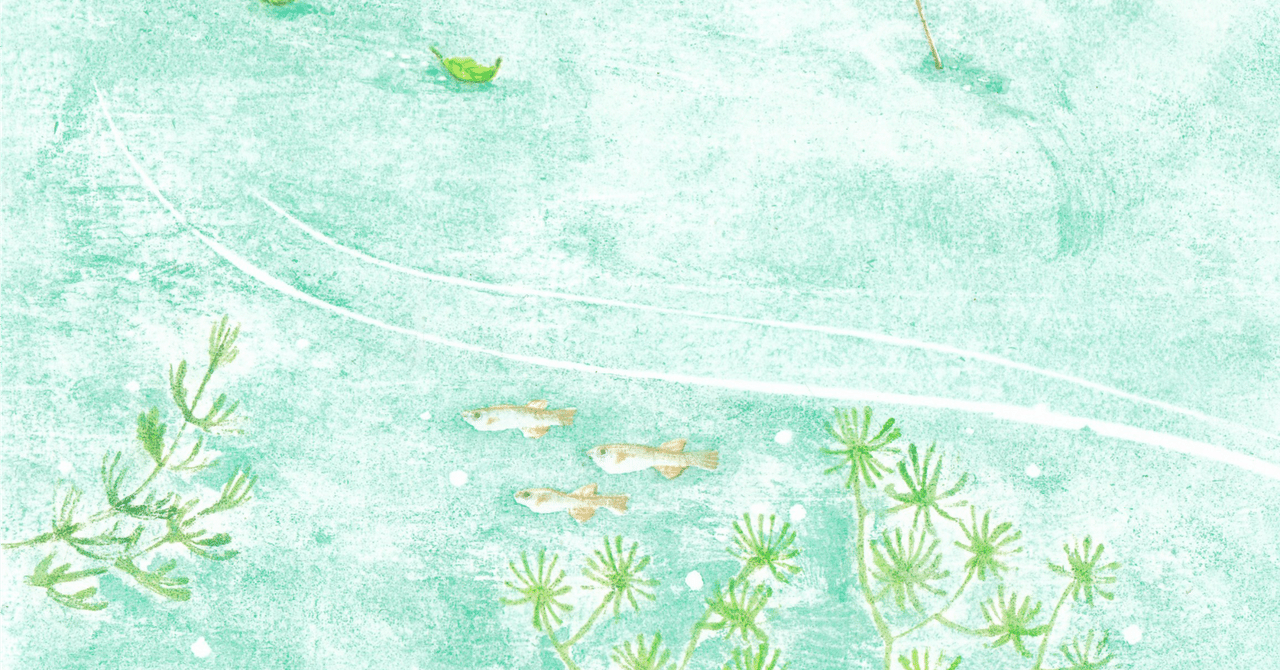 ふと、メダカに気づかされたこと｜Takuya Ito