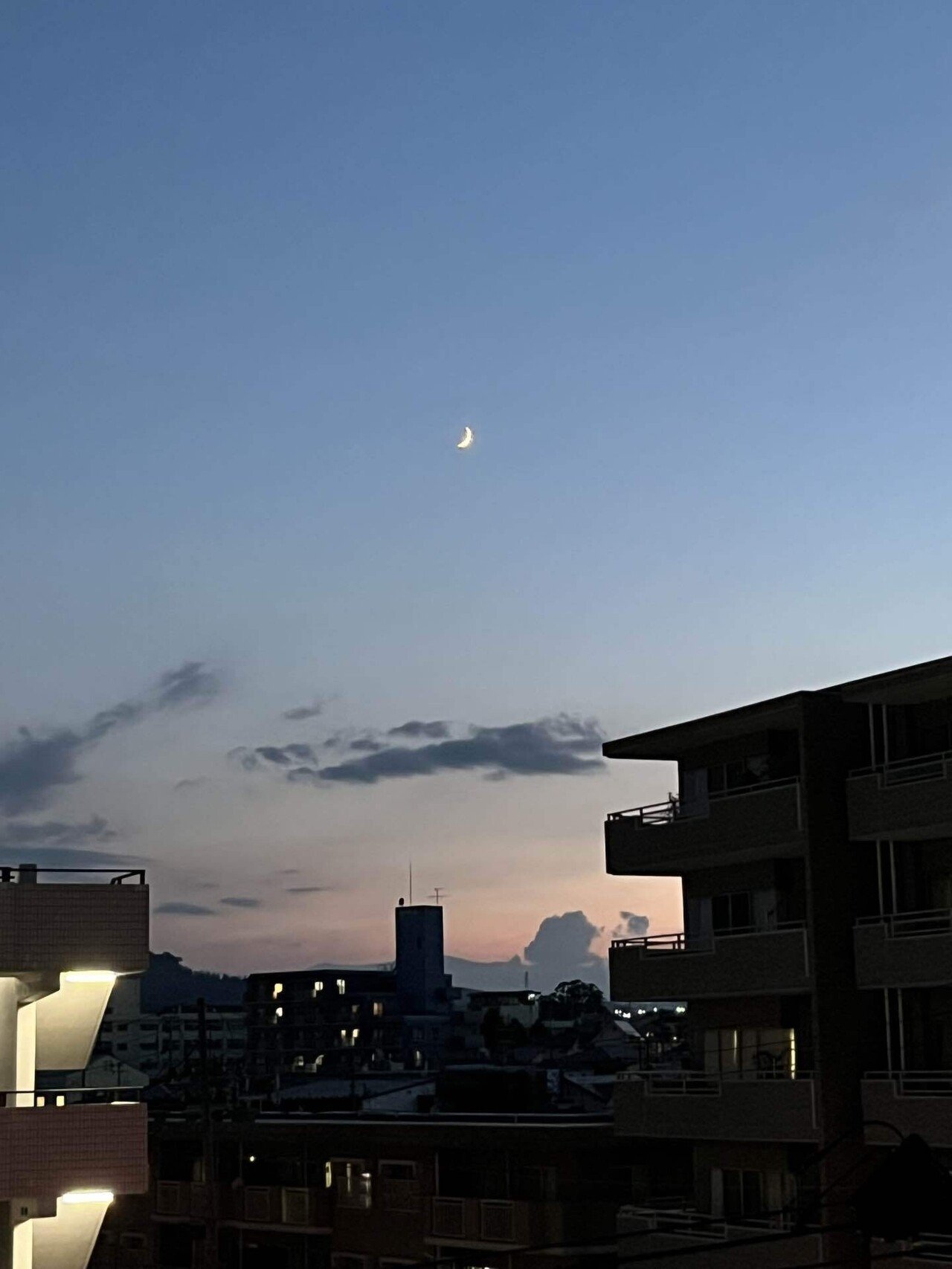 asumin〜龍を探して〜｜note