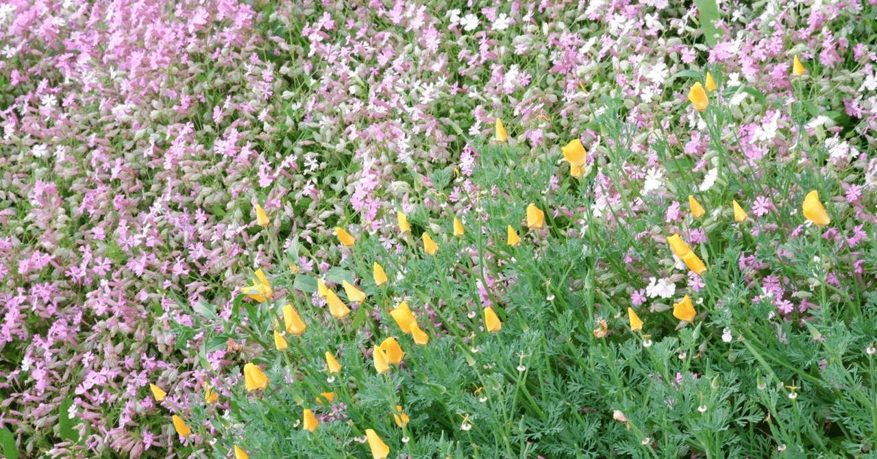 TOEIC【公式問題集11】解答データに基づくリーディング分析＆ゆるトーク｜Muu (TOEICer)