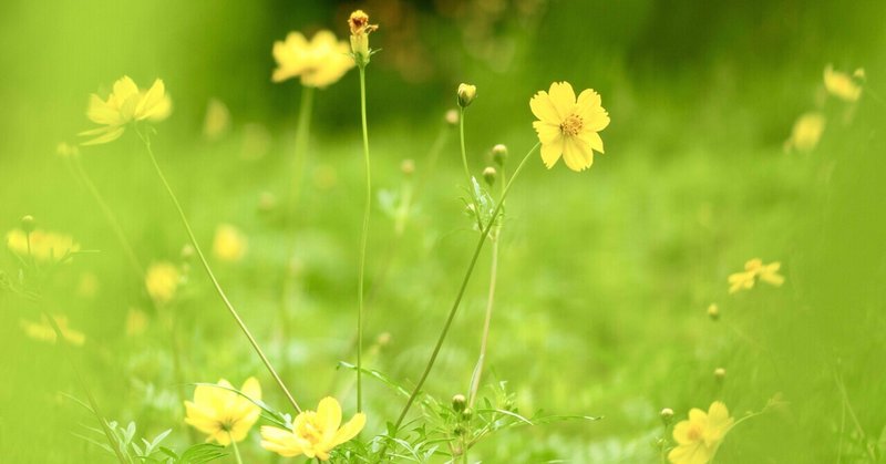 kuno_yasuhiro｜note