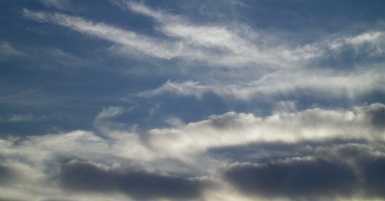 鳥Aves note I-xvii｜薄井 灌 Kan Usui