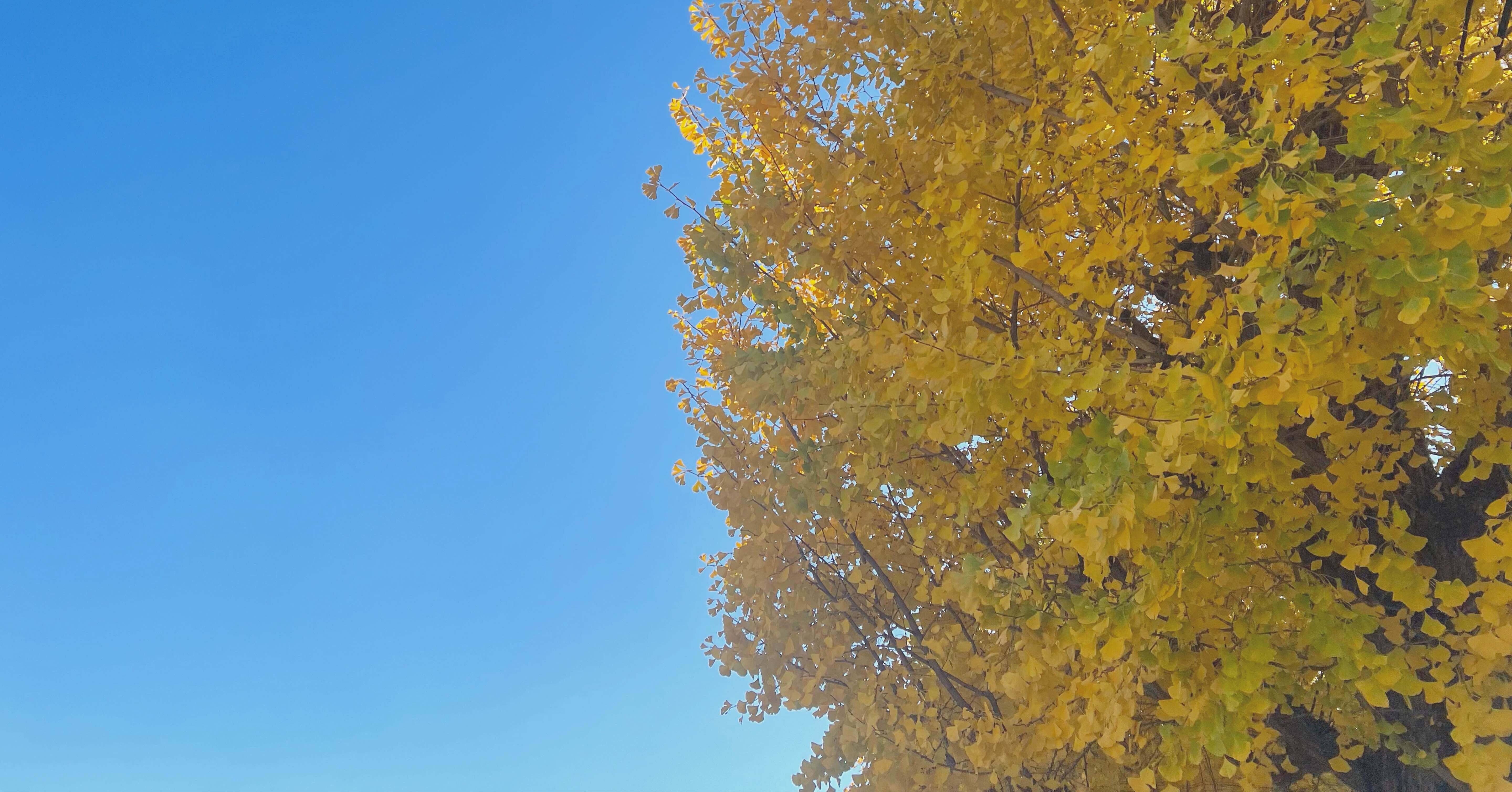 目標など｜megumi｜note