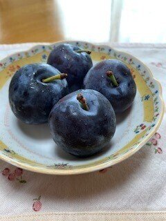 生プル～ン いただきました！ ジューシーで 甘くて 種以外全部 そのまま丸かじり！ 人生初の 生プル～ン とっても美味しい！ ごちそうさまでし ...