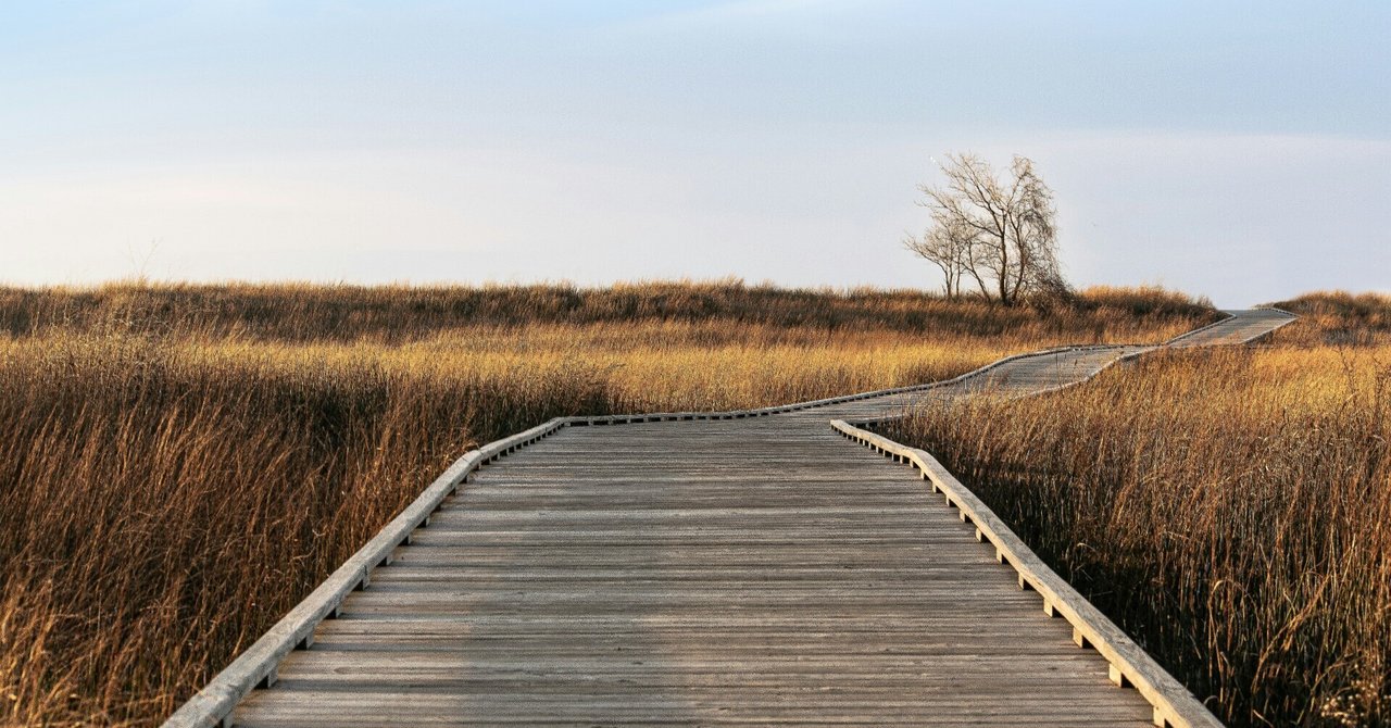 【創業3期目に突入】周囲の皆さまへの感謝と新たな決意｜Ryosuke Endo（遠藤 亮介）｜ 経営と人事に伴走する CHROパートナー＆コーチ（PCC）
