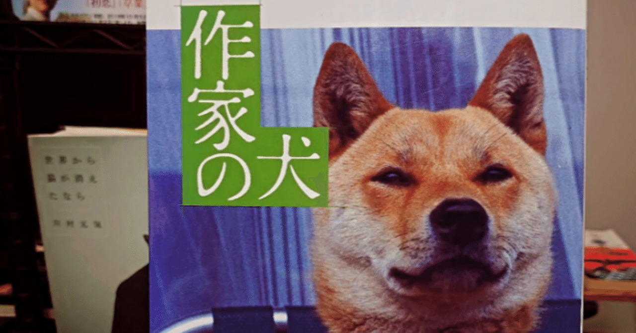 【作家の犬うちの猫】2024/07/16｜comxcom古