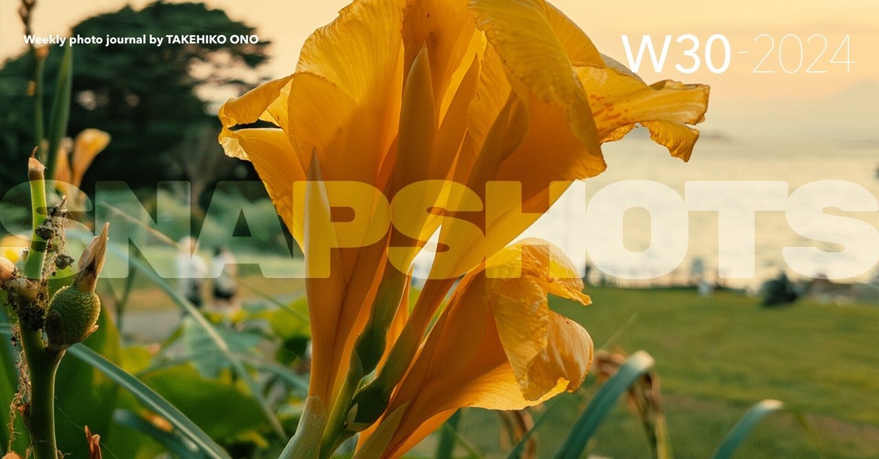 W30-2024 | 夏とカンナ｜Takehiko Ono
