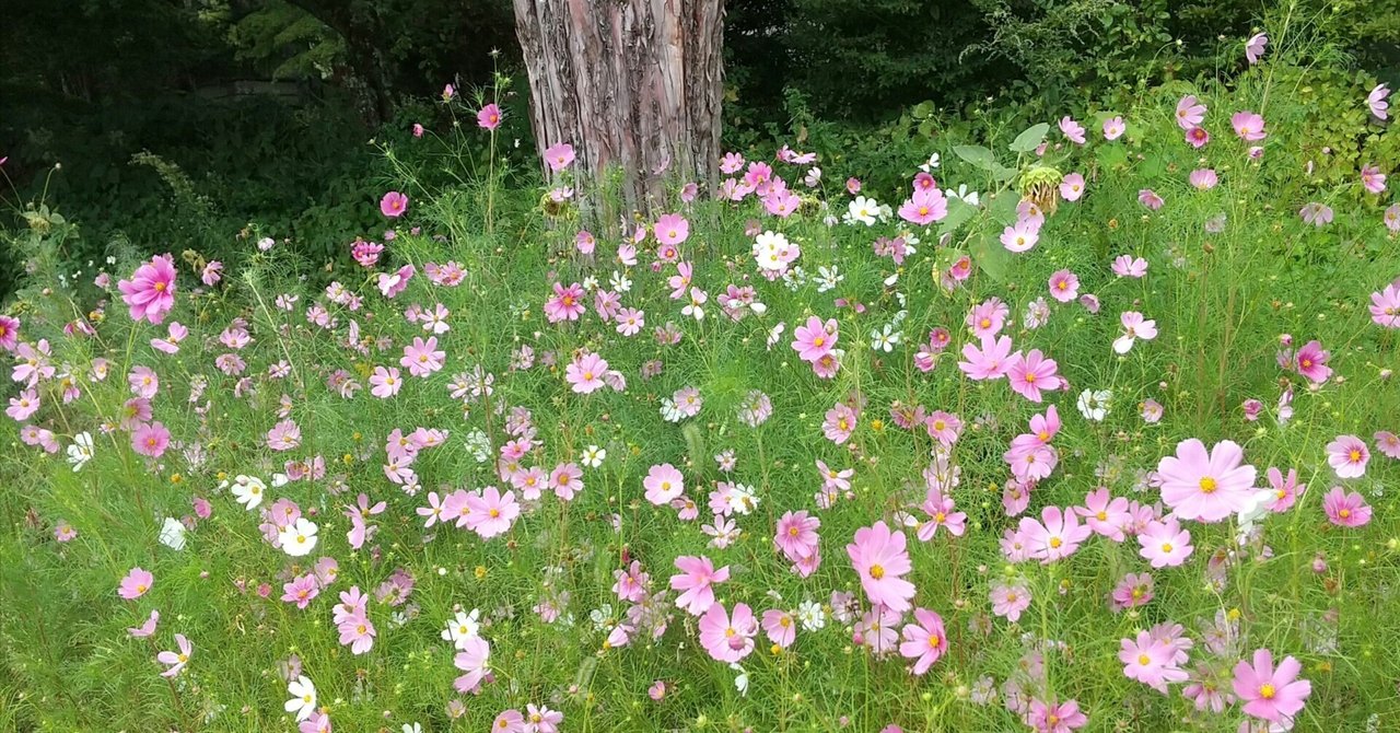 詩ことばの森(208)「穏やかな季節の村で」｜UNWIND&KOMOREBI