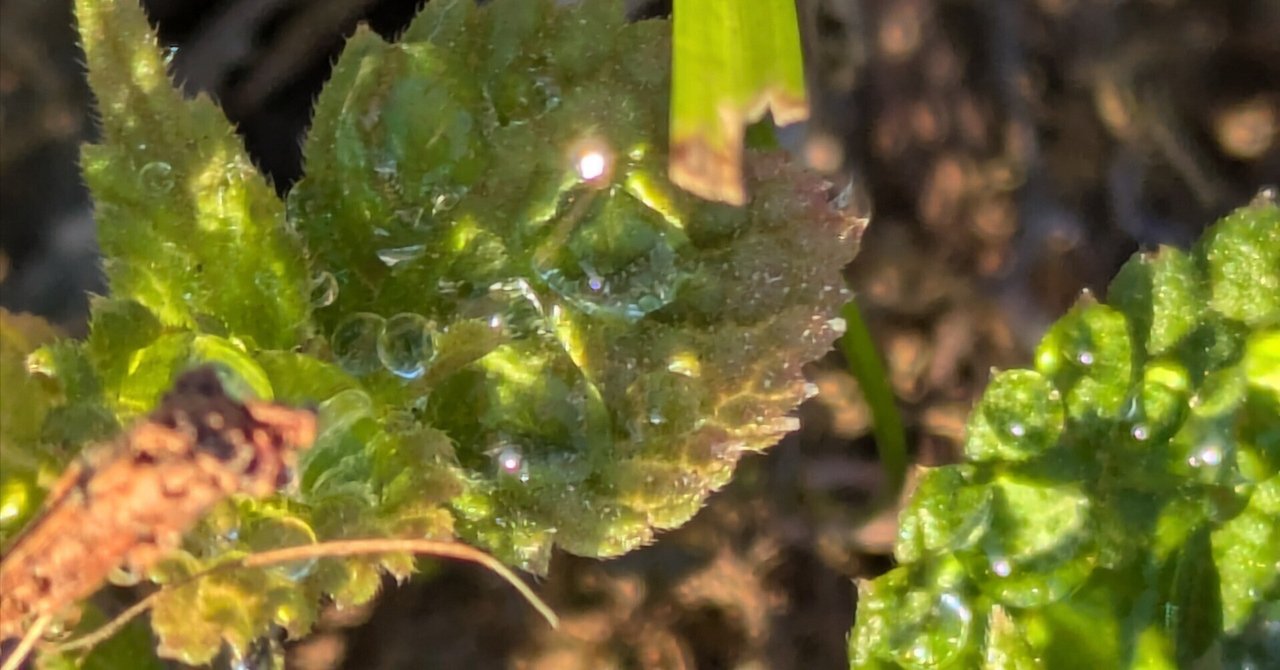 泣いたり笑ったりの動画｜ichiro70