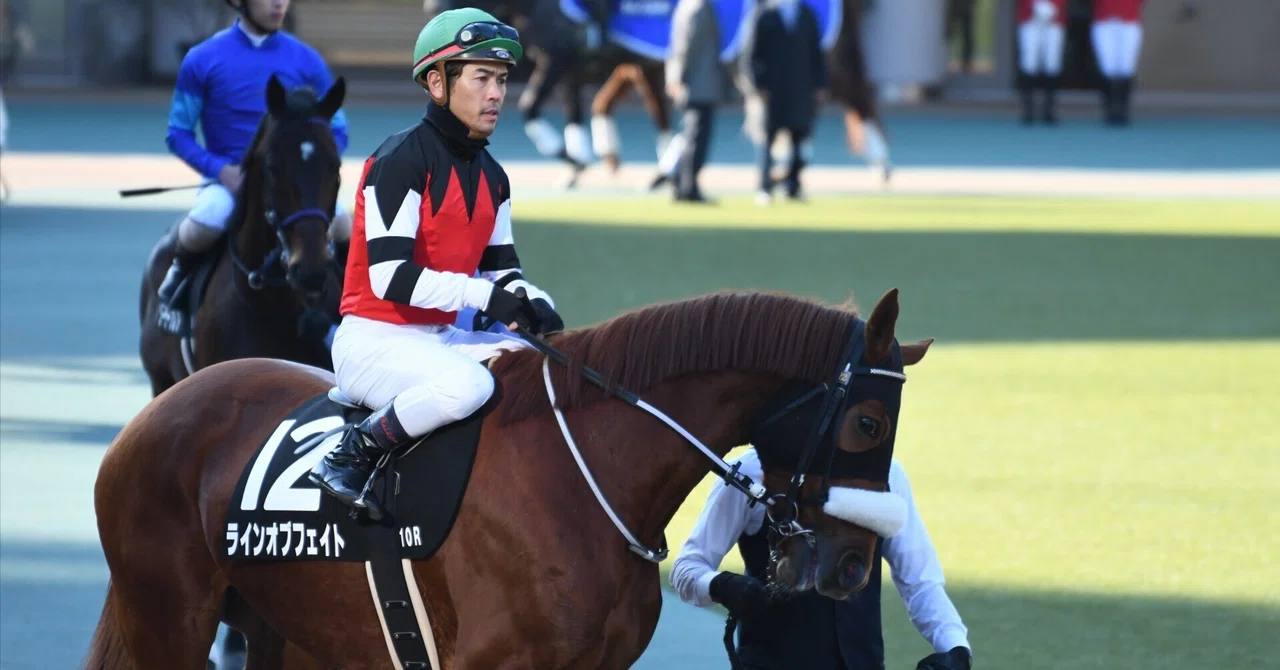 YGGオーナーズクラブ2024募集馬(2023年産)AI馬体診断｜Koji Maeda