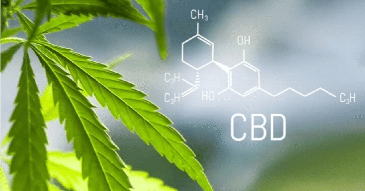 Masayan_Kenji｜note