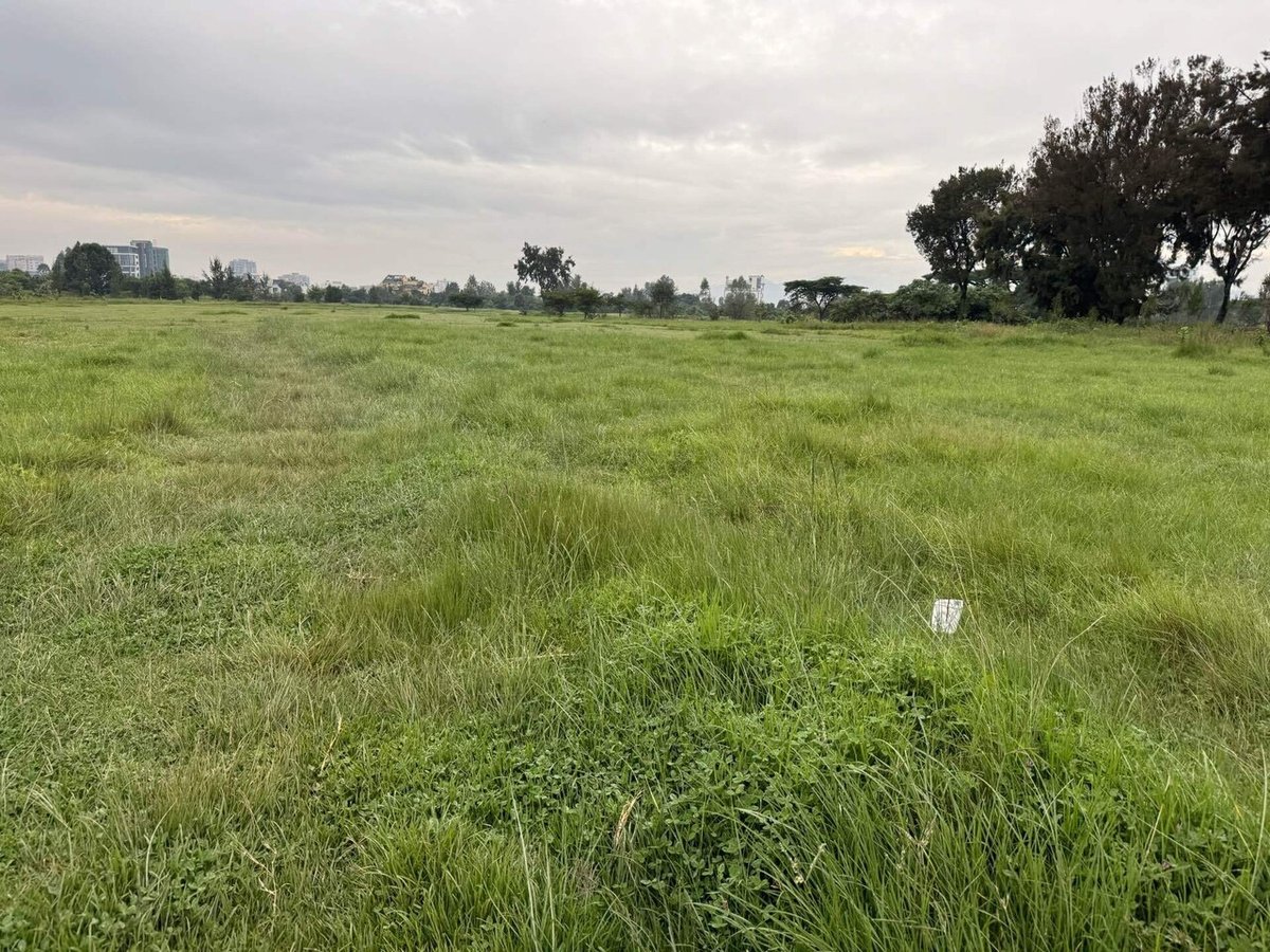 エチオピア アディスアベバでゴルフをしてみた Addis Ababa Golf Club｜nao_tra