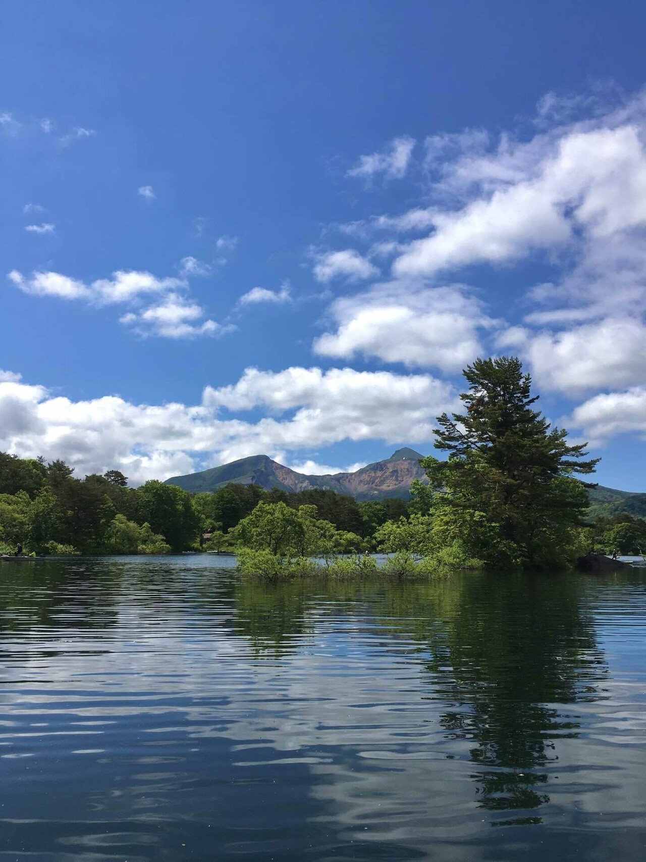 真夏の清涼｜M-hagaaa