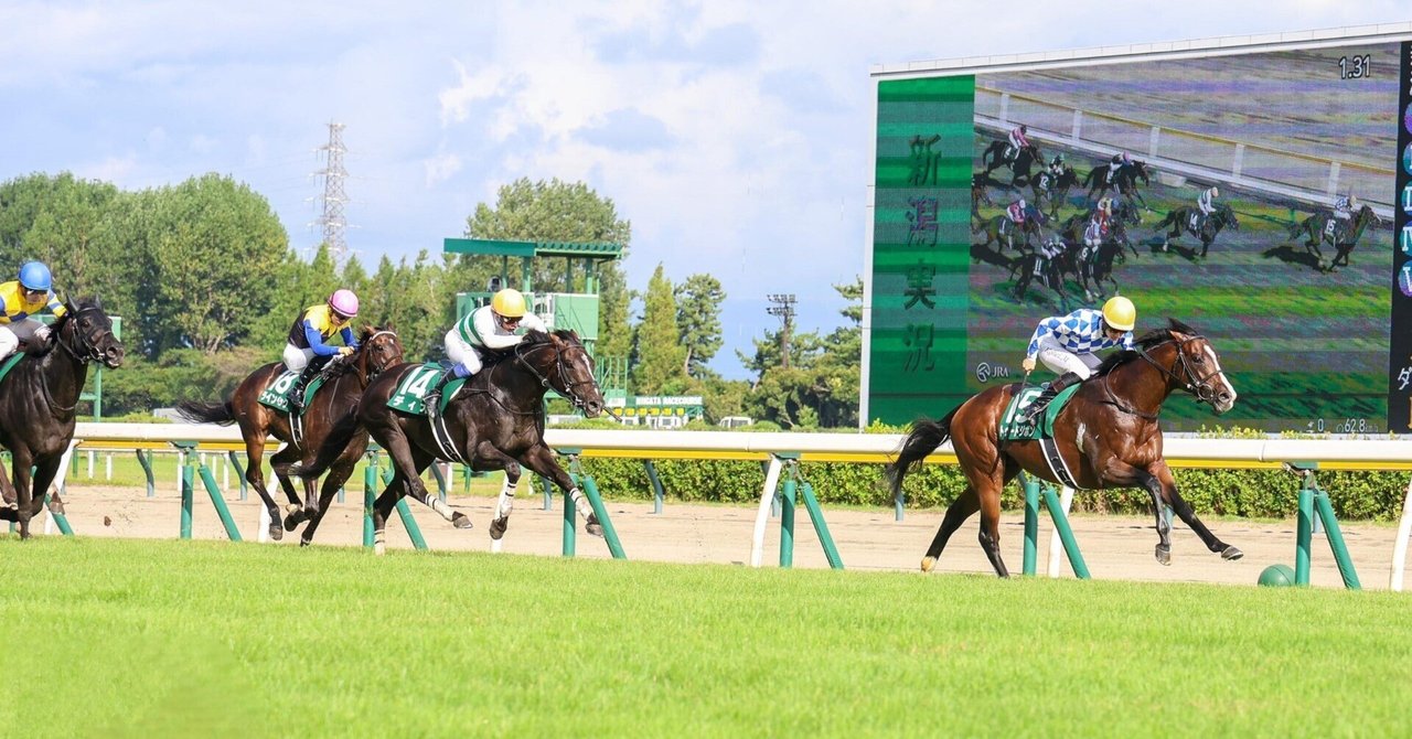 【関屋記念（G3）回顧～その先へ】日刊コンピ篇｜Haya