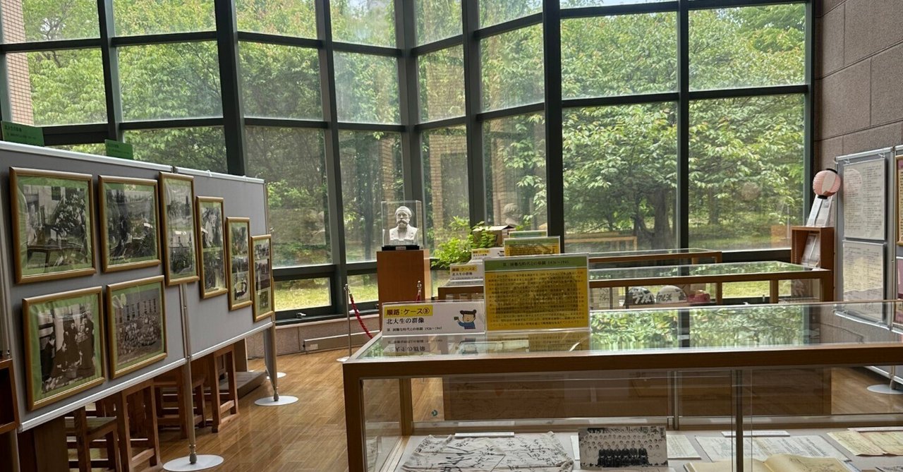 女性で、理学で、研究者として。｜Asami KOMATSU