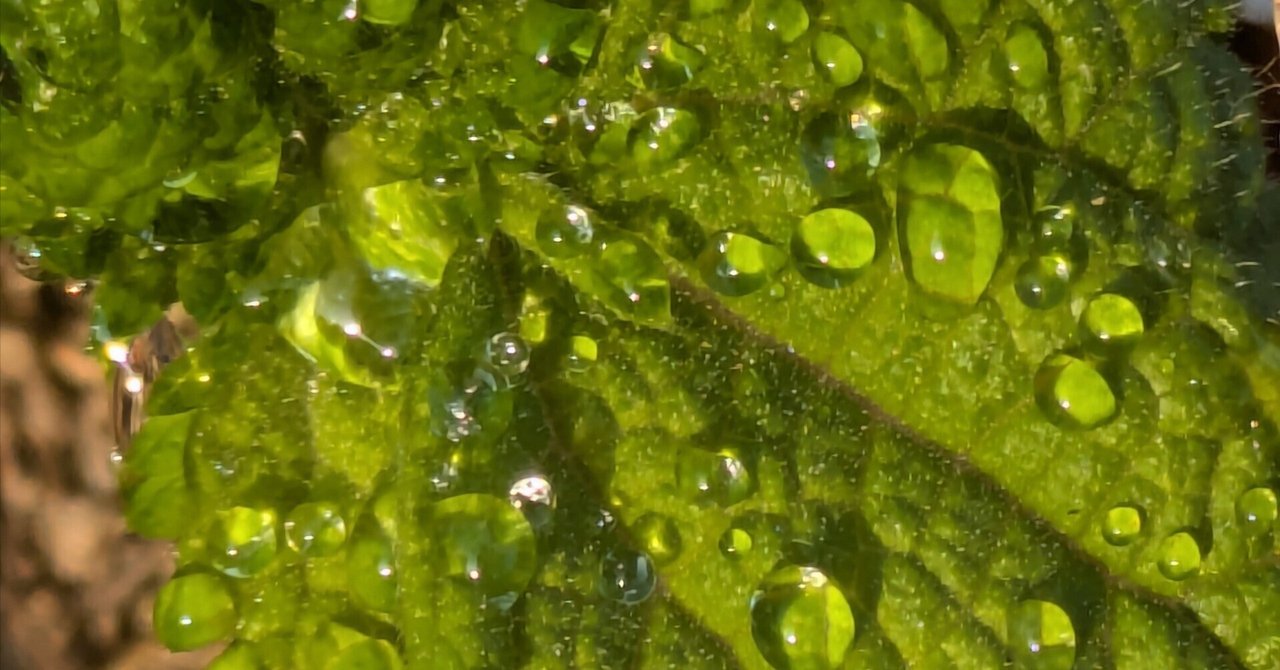 水滴美術館〜いっぱい｜ichiro70