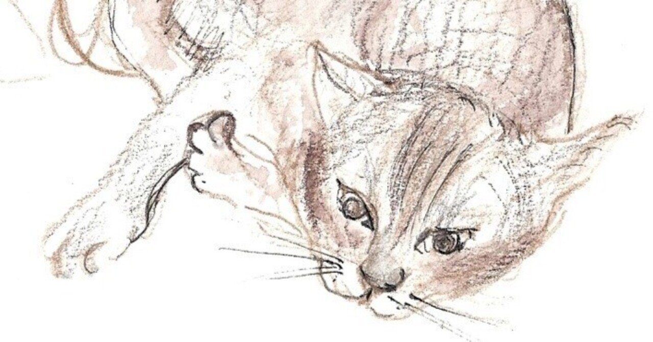 連還する記憶 ⑩｜仁吾巴 妍 niaha ken