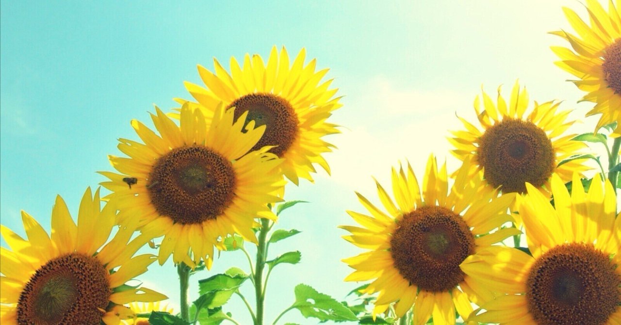 ワーママの転職活動 その1｜moepi