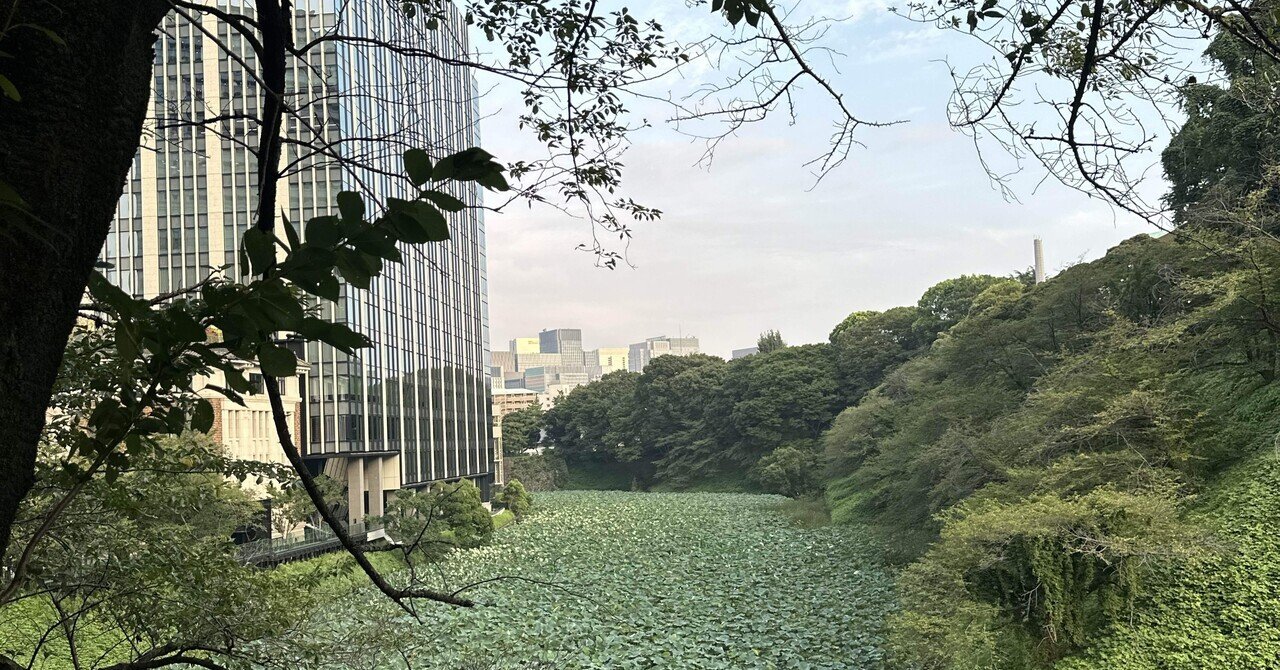 譲り合い。｜Yuya Kikuchi