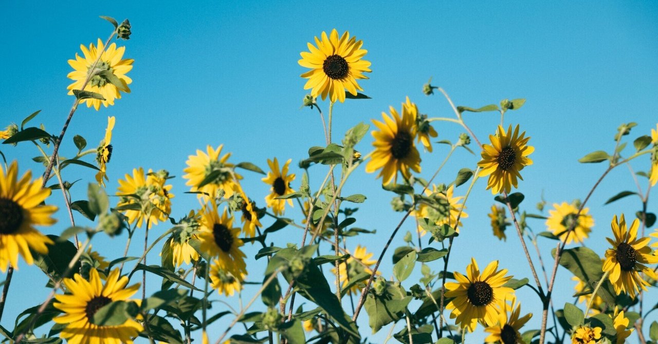 たびとフラグ｜Keito