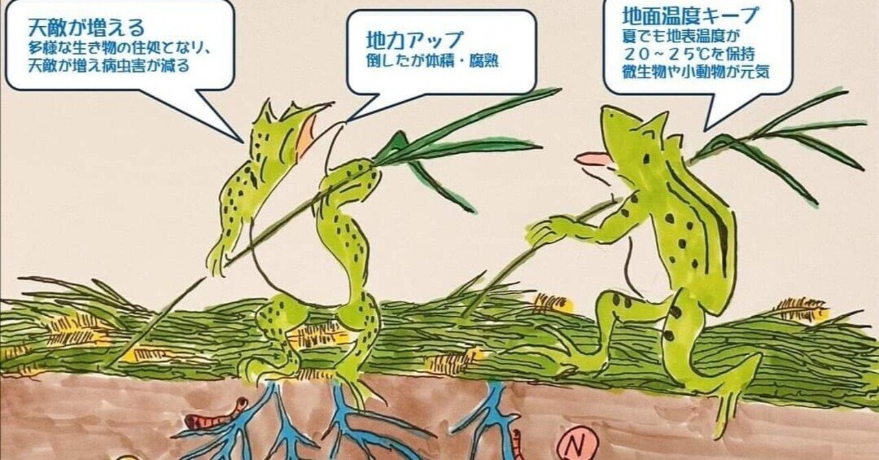 江戸時代の草管理｜shanthi-usui