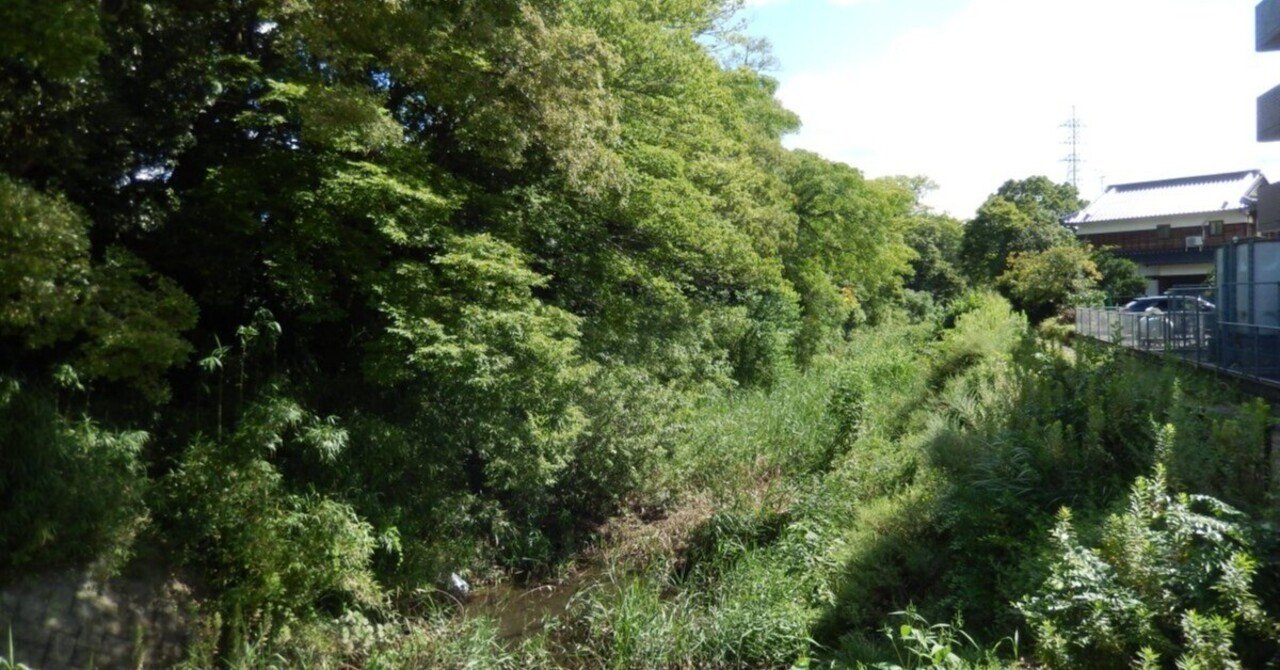 幽霊薬－伝説が秘める因幡の戦国時代・1－｜Yuniko note