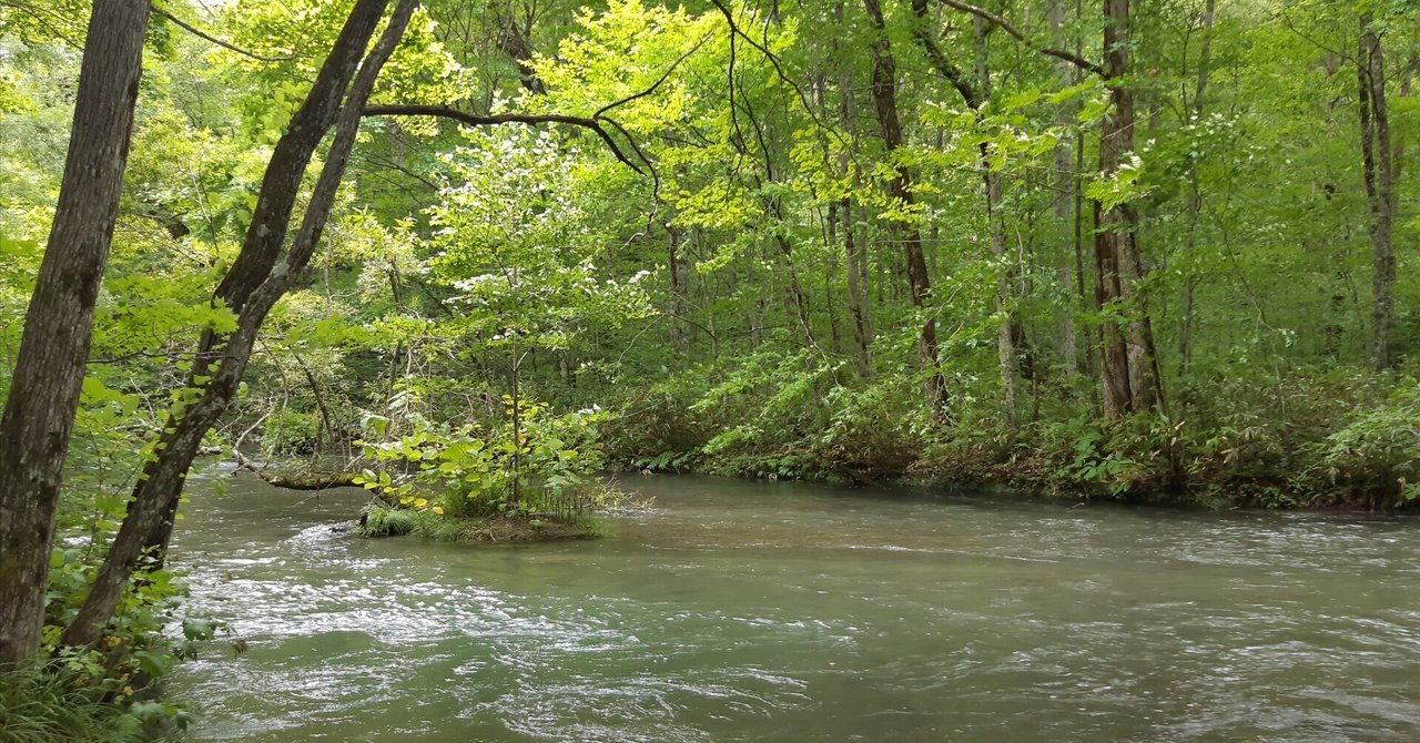 自分に優しくする、とは｜虹の彼方から Bright day EIKO