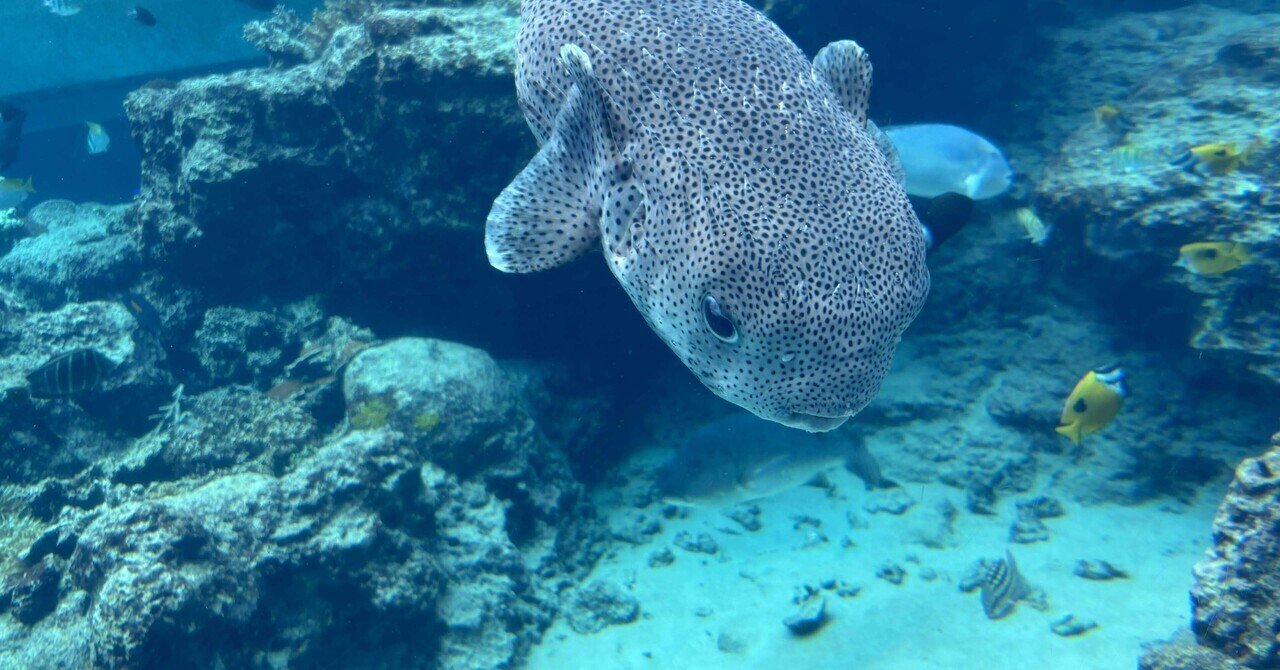 はじめまして、自己紹介デス〜エニアグラム ️潜在意識コントロール〜｜riko-granberyl