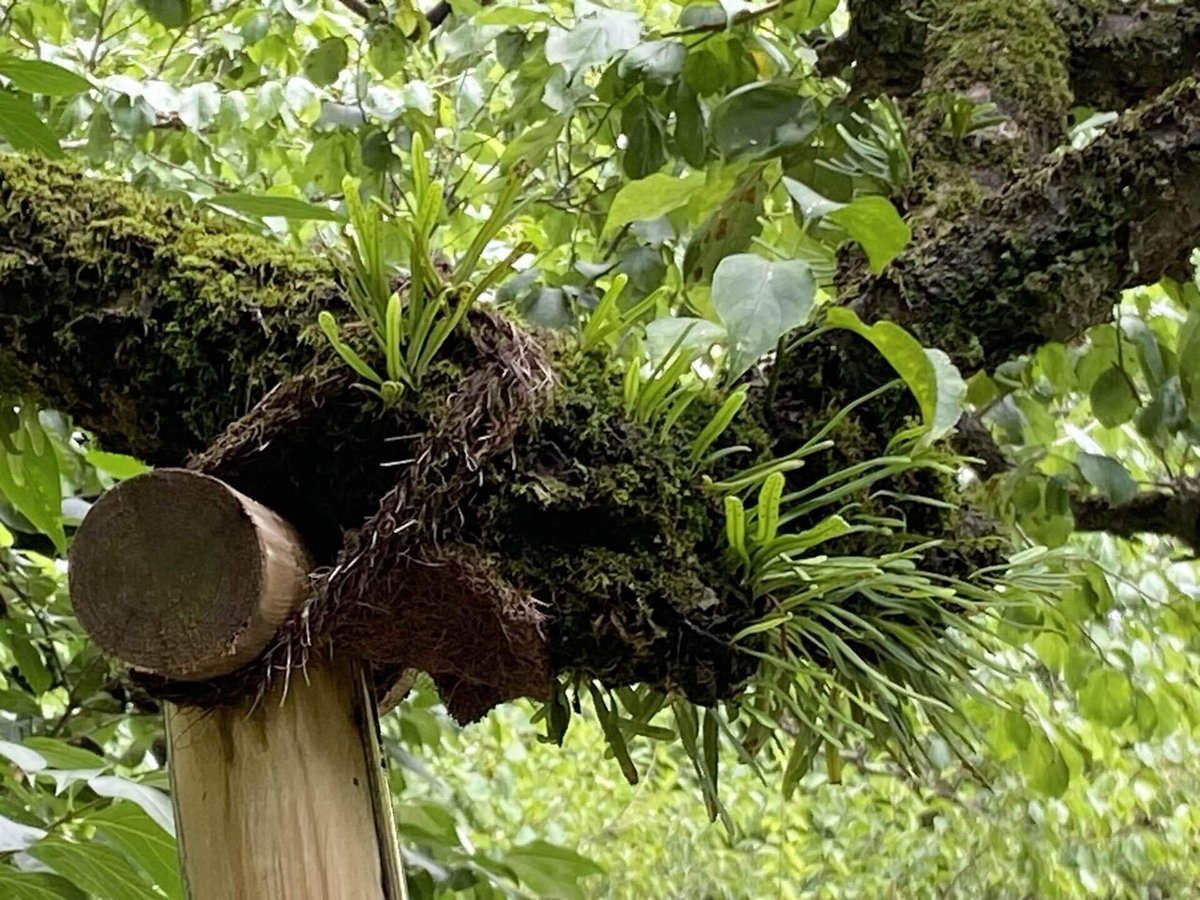 横川苑｜之哲／Yuki Satoru