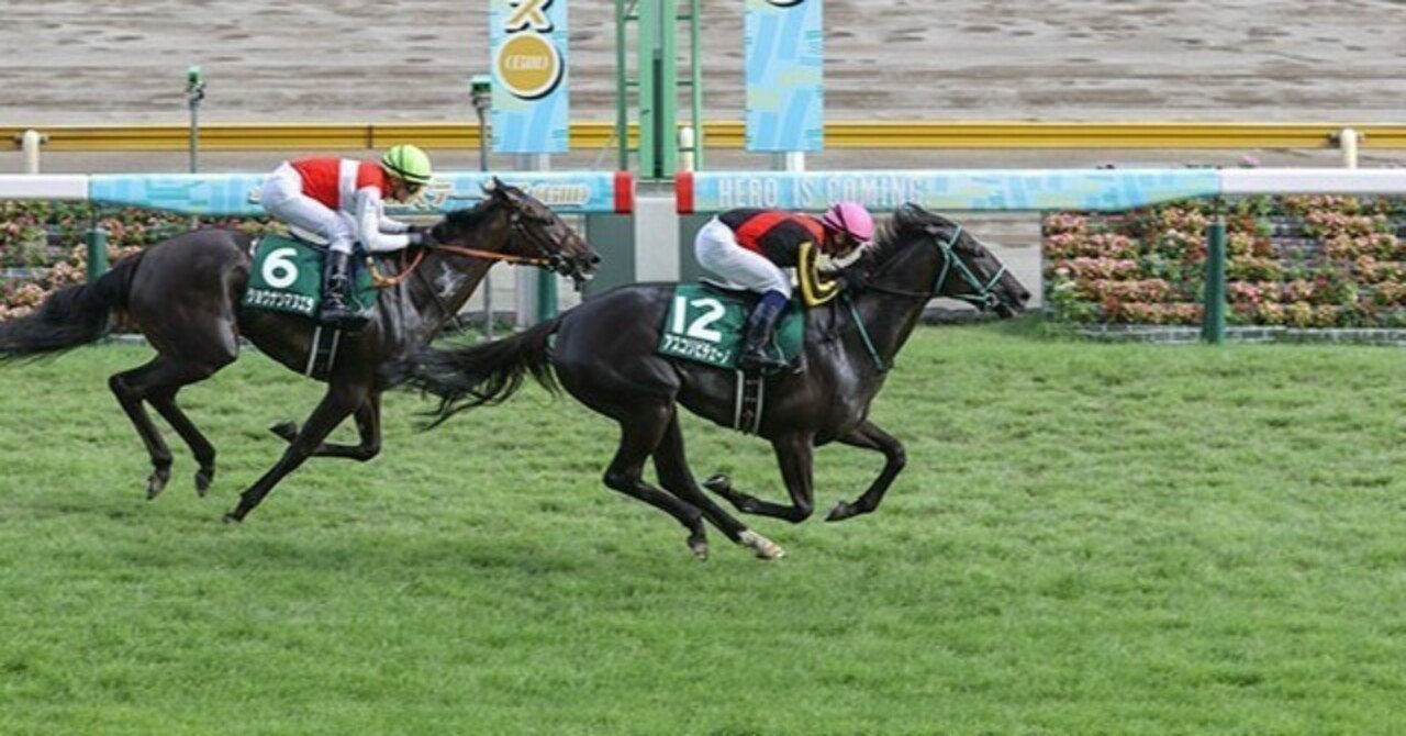 【2024 新潟2歳S（G3）】日刊馬番コンピ指数分析予想篇｜Haya