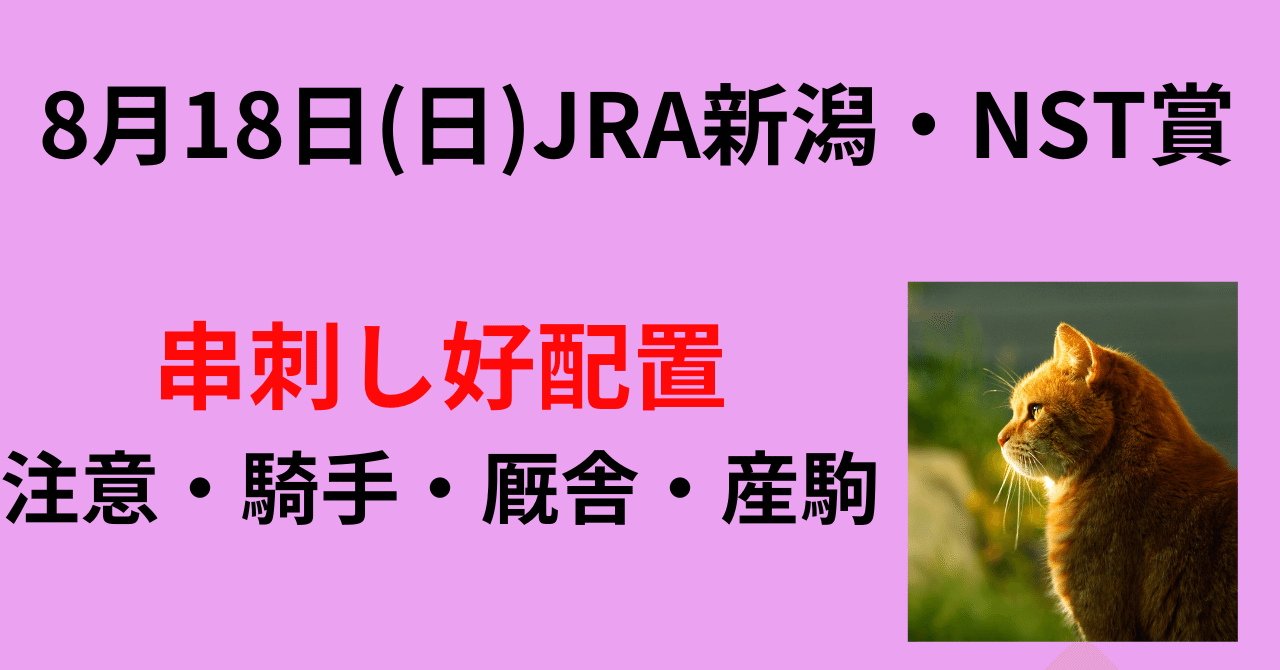 8月18日(日)JRA新潟・NST賞・串刺し好配置・注意・騎手・厩舎・産駒｜みぷ